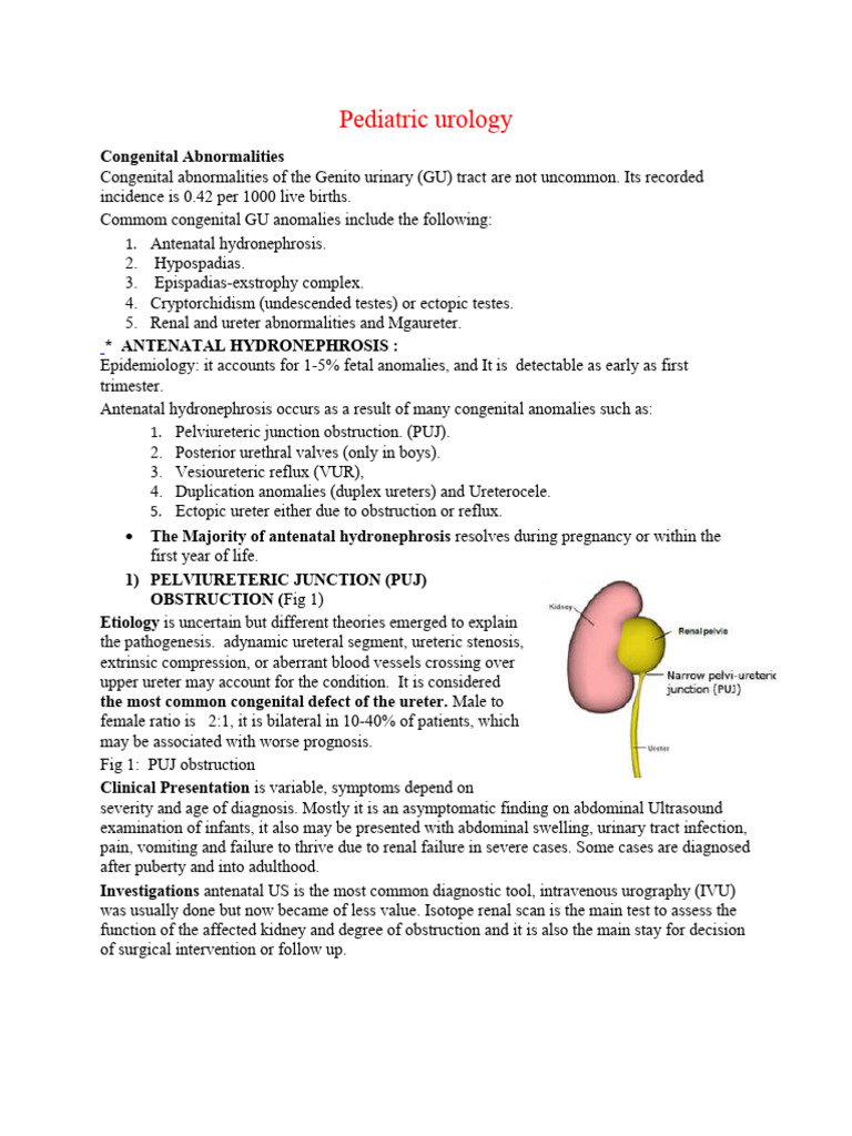 Pediatric Urology Book | PDF
