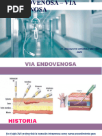 Via Intratecal | PDF | Farmacia | Medicina CLINICA