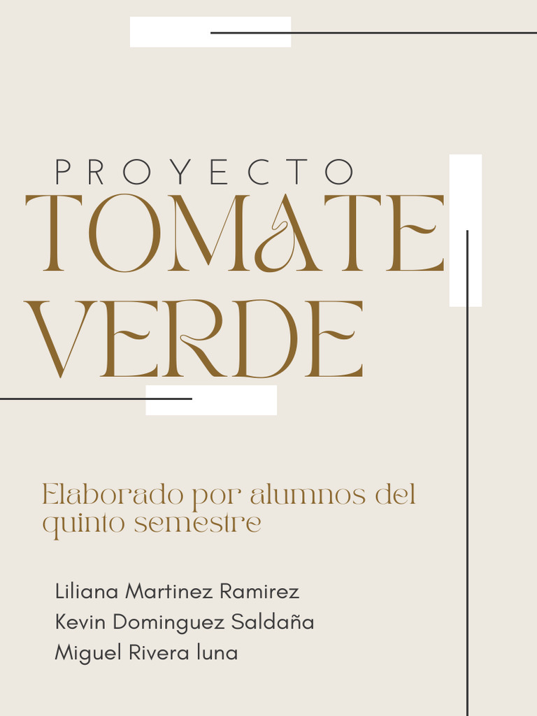 Documento A4 Proyecto Final Aesthetic Minimal Beige Negro | PDF