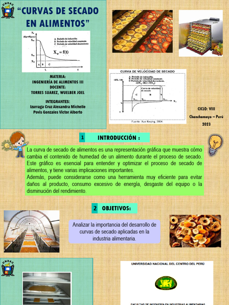 Curva de Secado de Alimentos | PDF