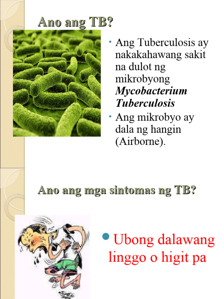 TB Presentation Oct. 12 | PDF