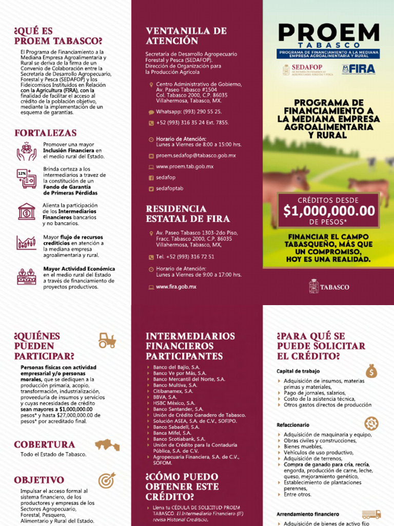 Tríptico-PROEM 1 | PDF