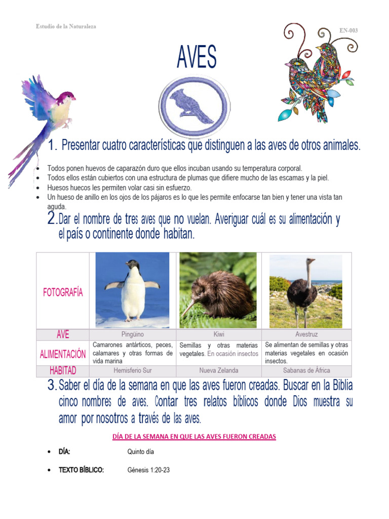 AVES | PDF | Aves | Ornitología