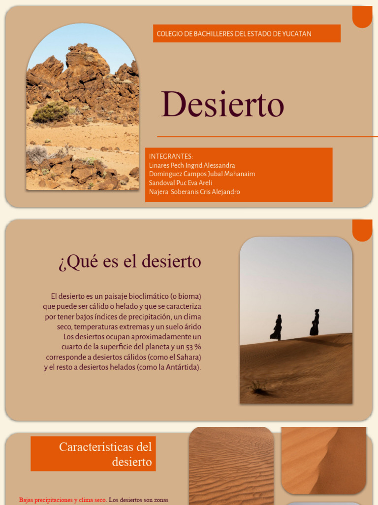 Desierto | PDF | Hogar, jardinería y bricolaje | Ciencia y matemáticas