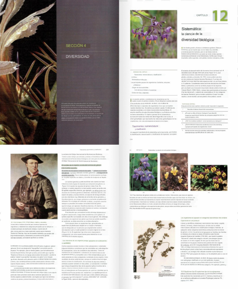 Raven Biology of Plants | PDF