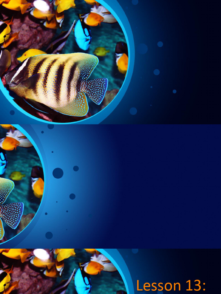 Parts and Classification of Fish | PDF