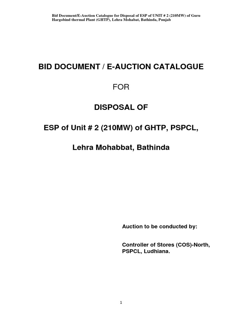 Bid Document e Auction | PDF