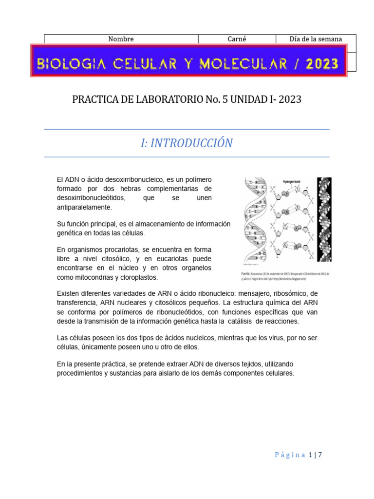 Práctica de Laboratorio 5 Extracción de Ácidos Nucleicos | PDF