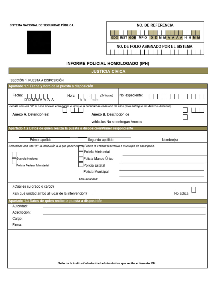 Iph Justicia Civica | PDF