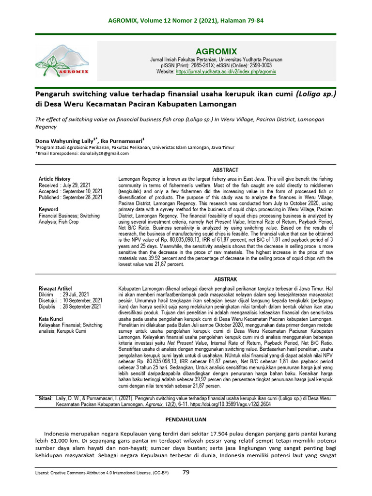 Pengaruh Switching Value KRUPUK CUMI IKA DAN DONA | PDF | Net Present Value | Trade