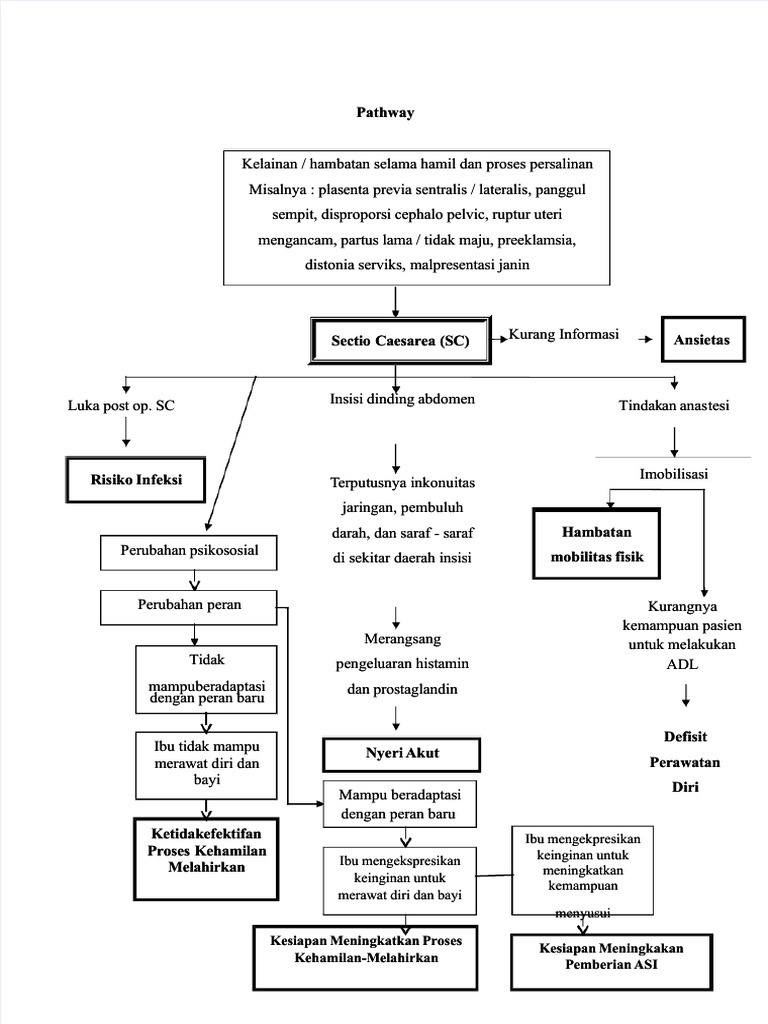 PDF Pathway Kesiapan Meningkatkan Proses Kehamilan Melahirkan Kesiapan ...