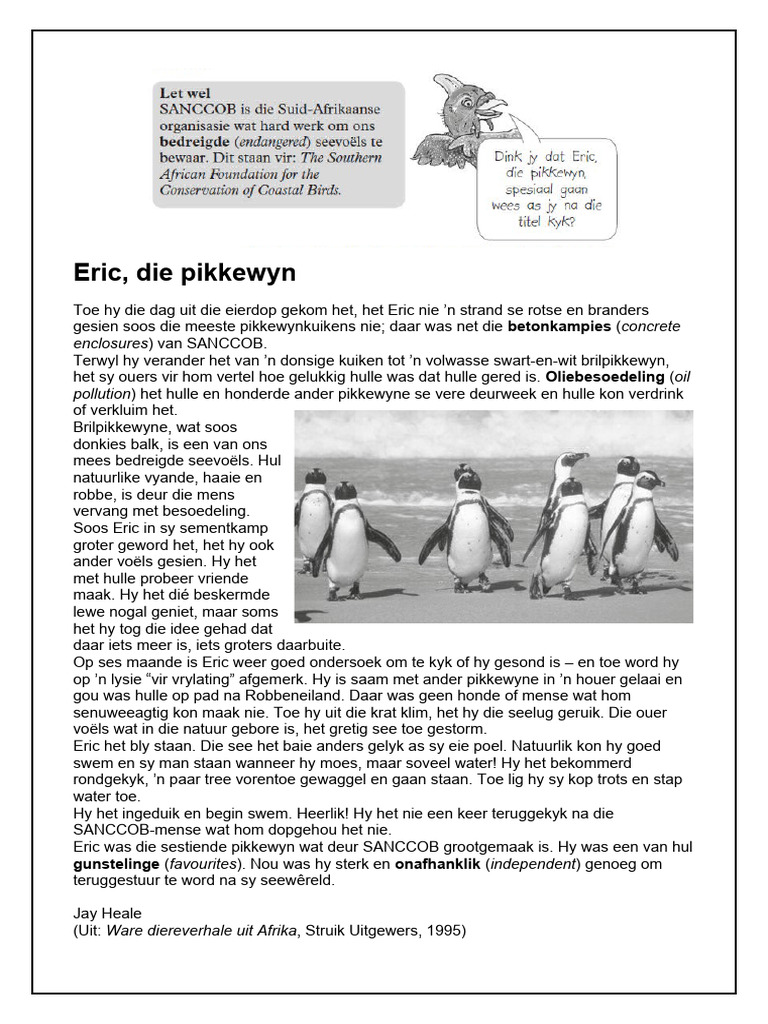 Eric, Die Pikkewyn (Week 5&6) | PDF