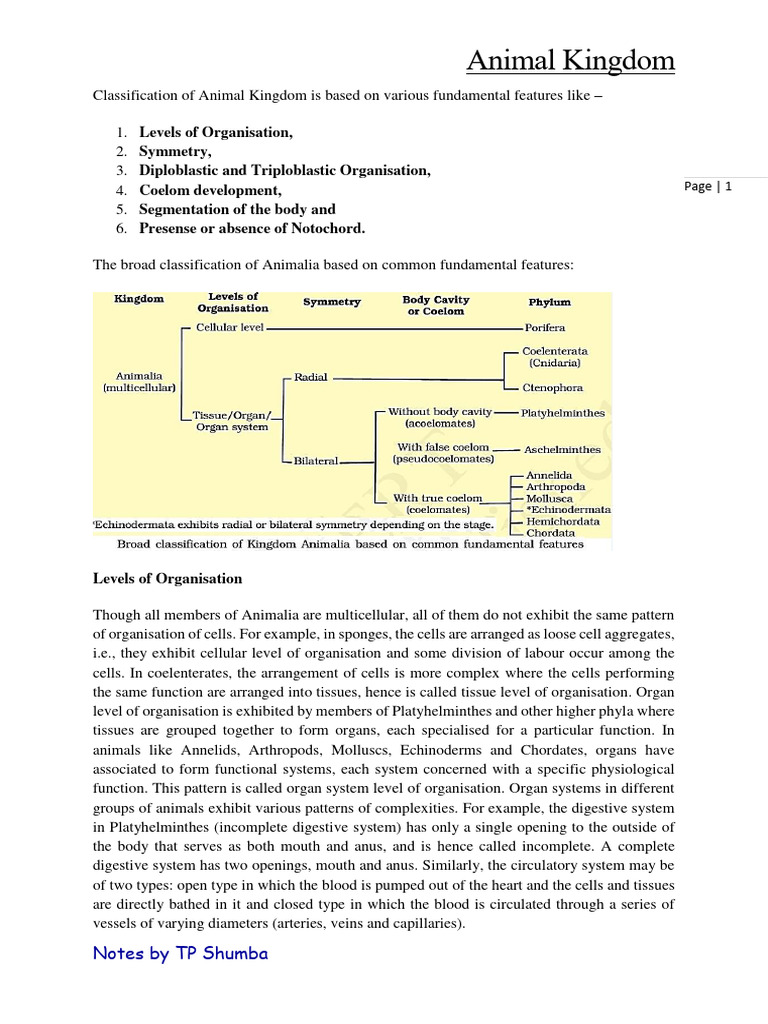 Classification of the Animal Kingdom | PDF | Anatomy | Zoology