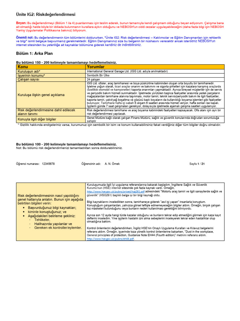 unit-ig2-example-v5-turkish | PDF