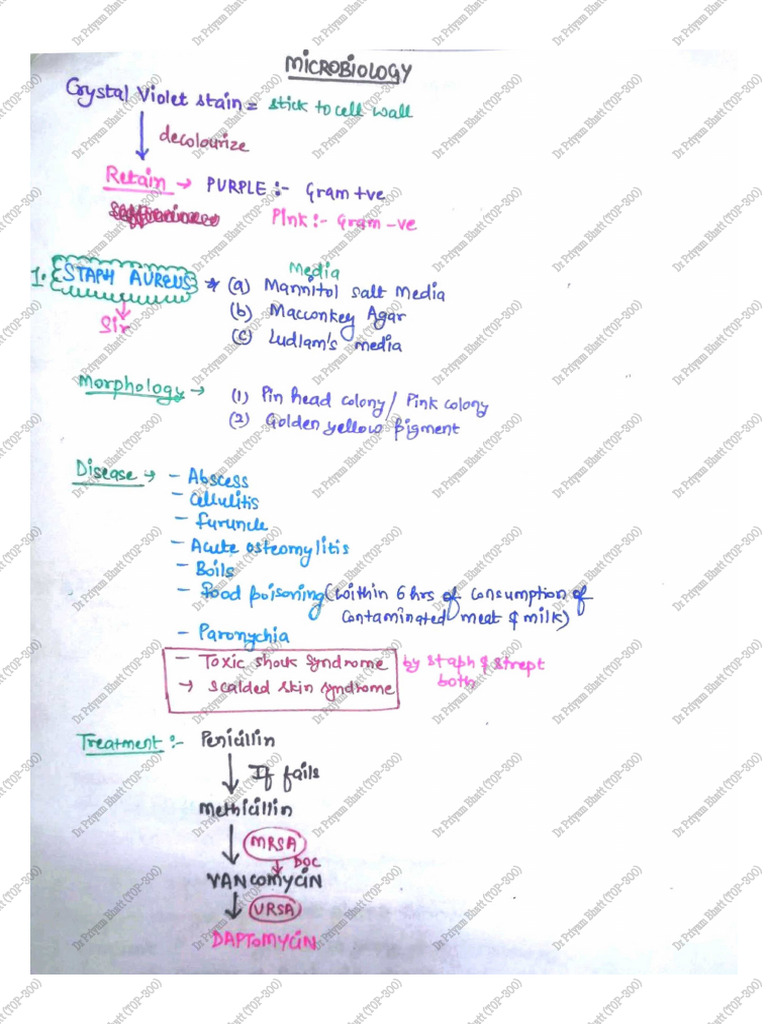 Microbiology High Yield (Top 300) | PDF