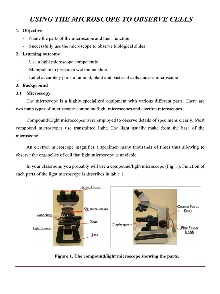 03_UsingTheMicroscope | PDF