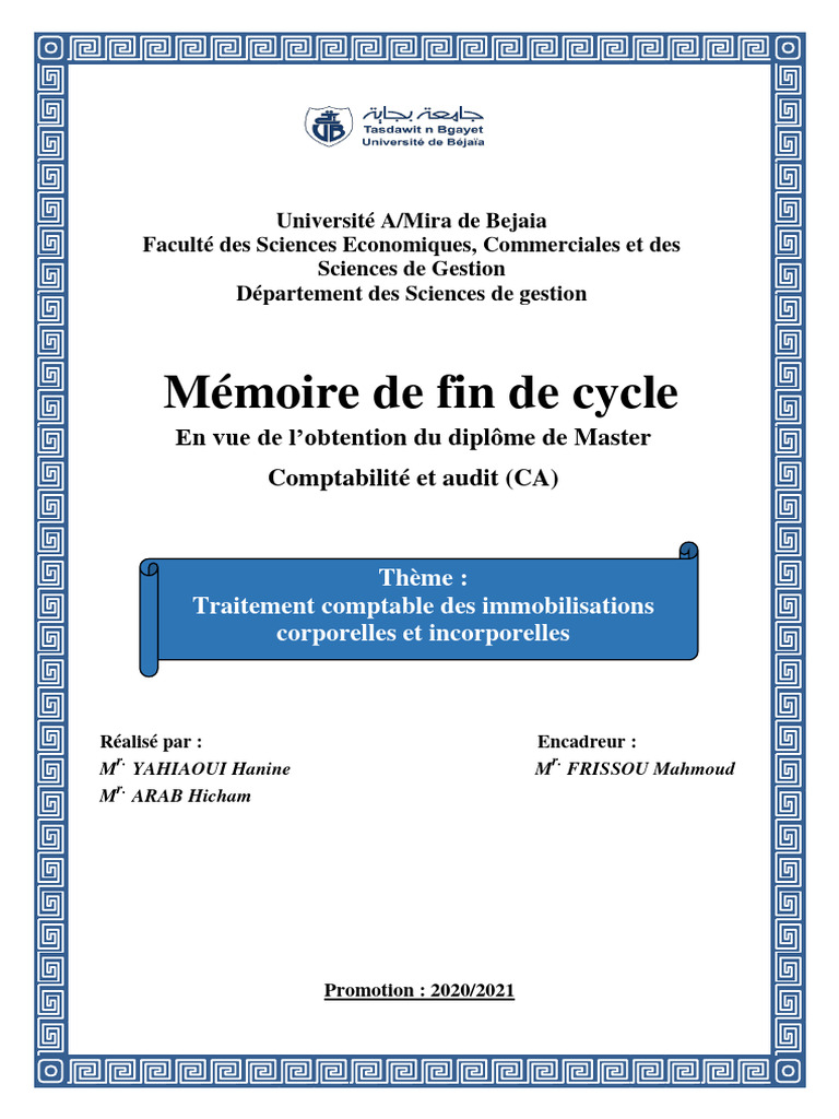 Traitement Comptable Des Immobilisations Corporelles Et Incorporelles | PDF