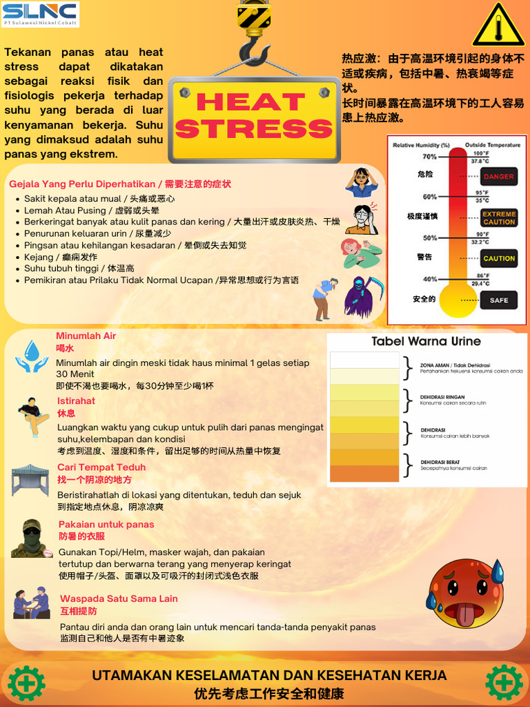 Heat Stress | PDF