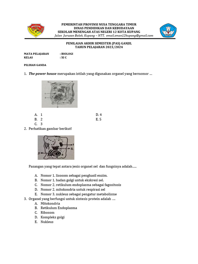 Soal Pat Ganjil 2023 Kelas Xi C | PDF | Kajian Bahasa Asing