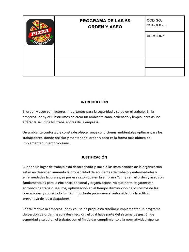 programa de orden y aseo 5s | PDF | Seguridad y salud ocupacional | Higiene