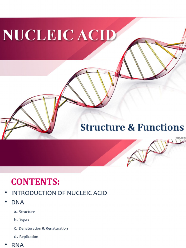 Nucleic Acid | PDF
