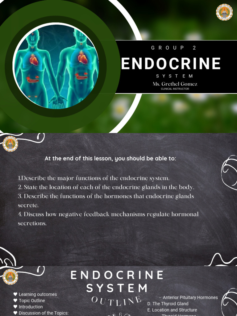 Endocrine | PDF