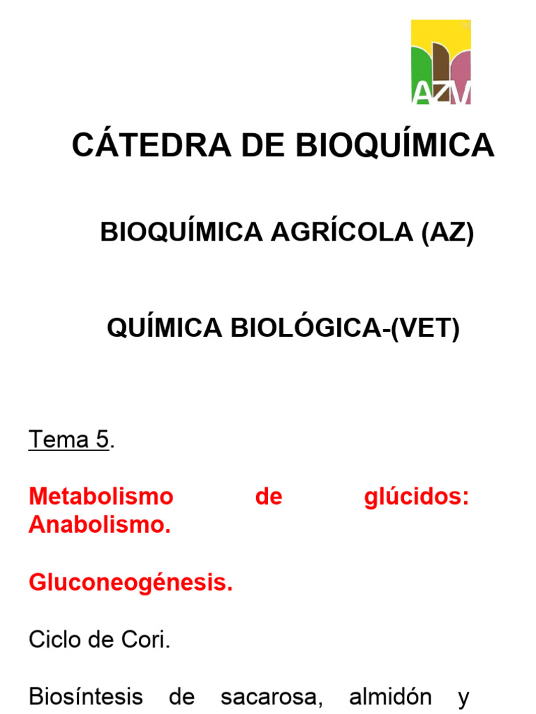 Metab Gluc II-2023 | PDF