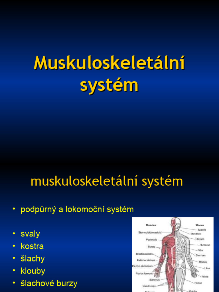 Muskuloskeletal Complete | PDF