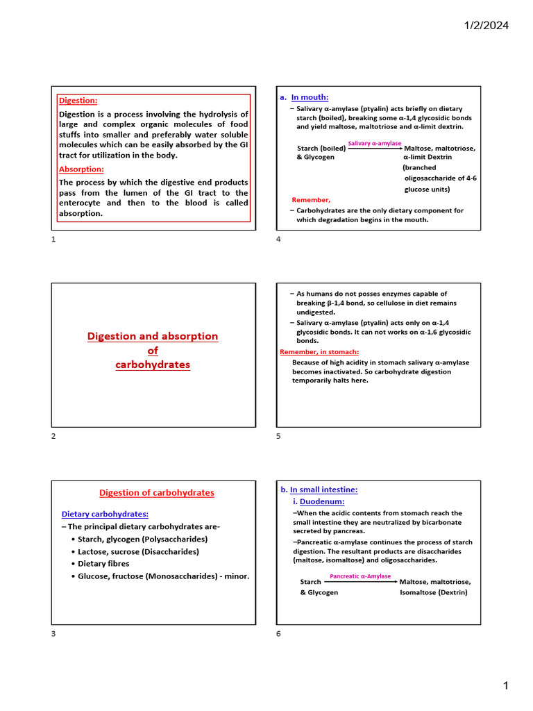 Carbohydrate and Protein Digestion Guide | PDF | Digestion | Carbohydrates