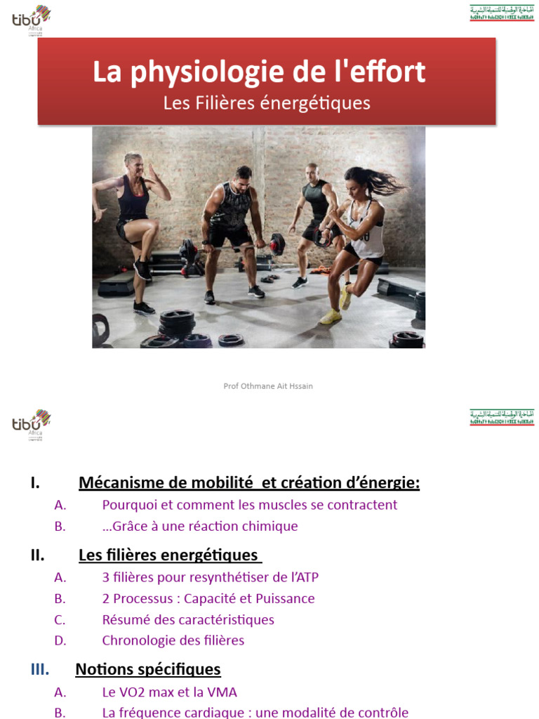 Filières Énergétiques et Physiologie de l'Effort | PDF | Sciences et mathématiques