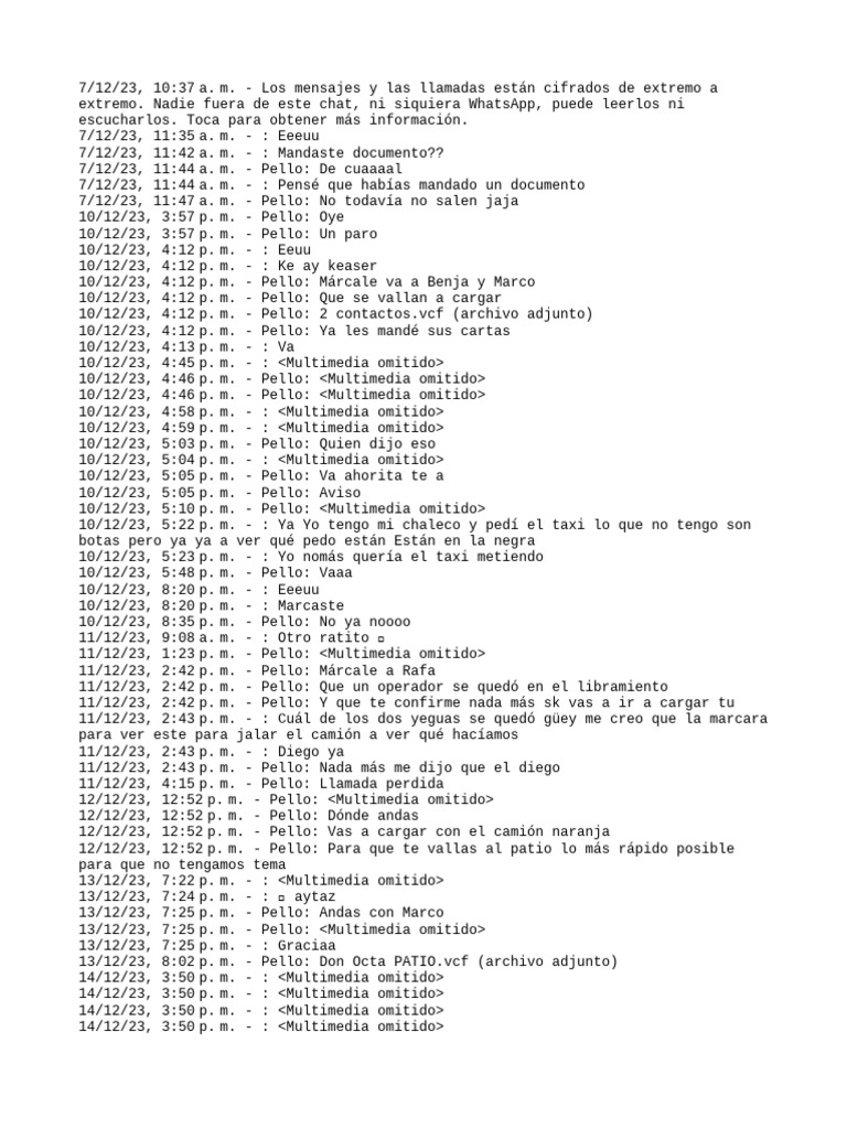Chat de WhatsApp Con Pello | PDF