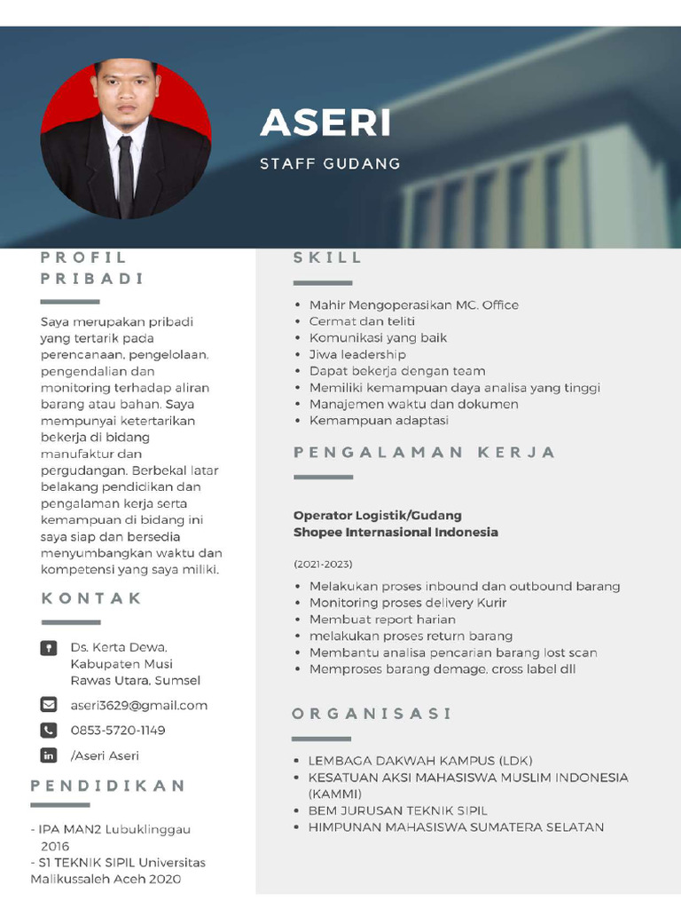 CV Aseri | PDF
