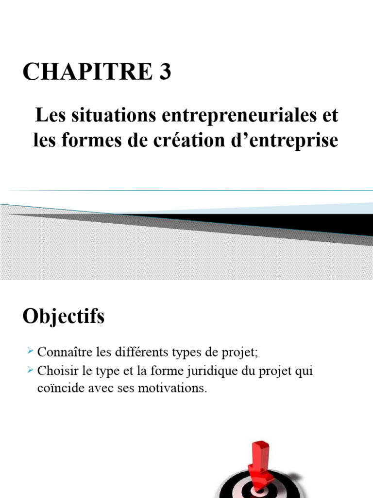 Chapitre 3 Entrepreneuriat | PDF