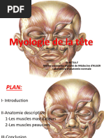 Anatomie des Muscles de la Face | PDF | Lèvre | Anatomie