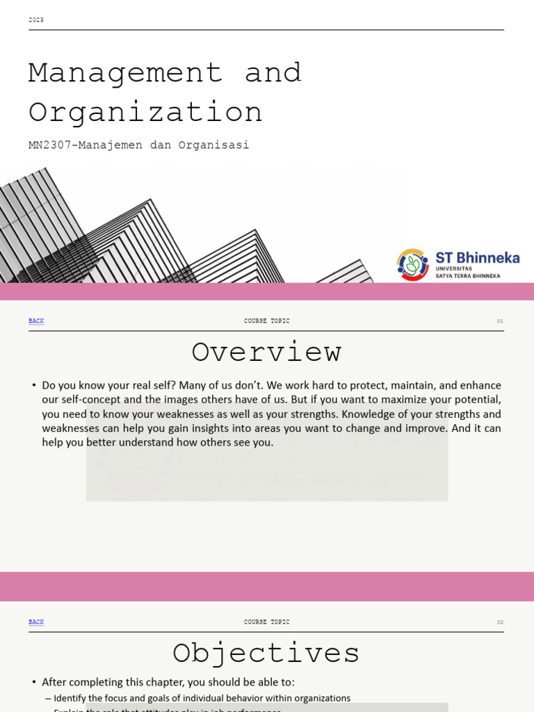 13 - Understanding and Managing Individual Behavior | PDF