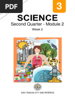 Grade 1 Physical Science States of Matter Worksheet | PDF