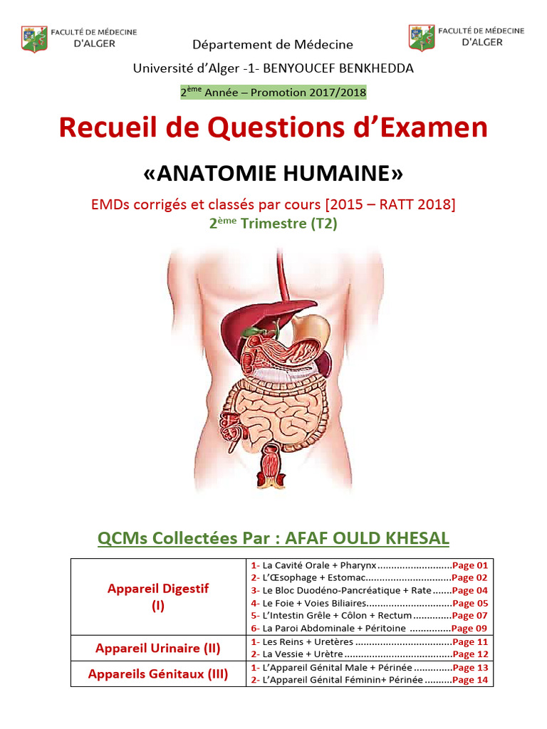 QCMs Anatomie Afaf Corrigés | PDF
