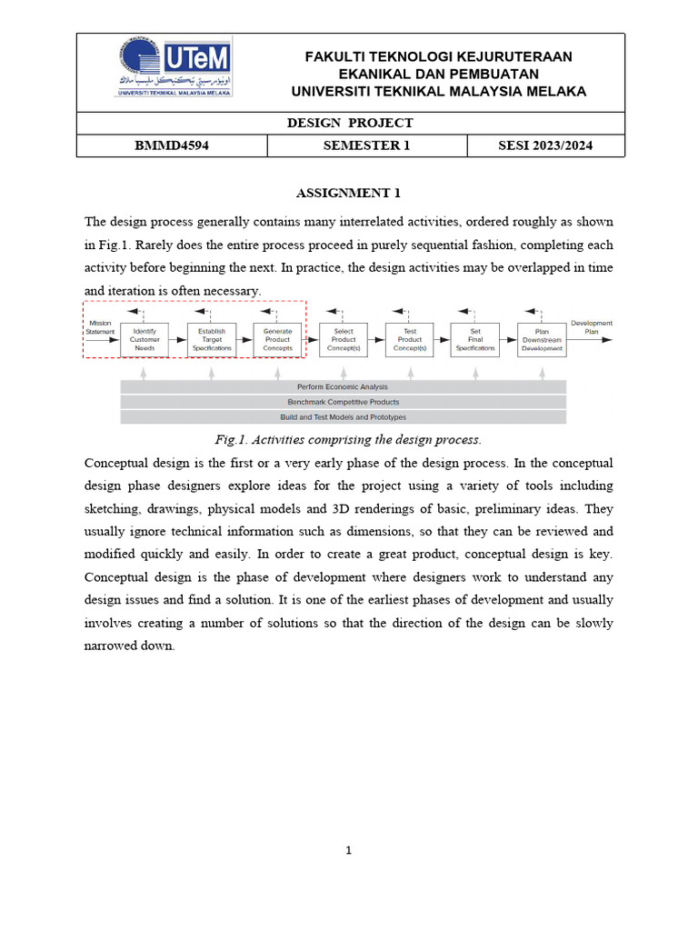Assignment 1_ Design Project_BMMD4954 | PDF
