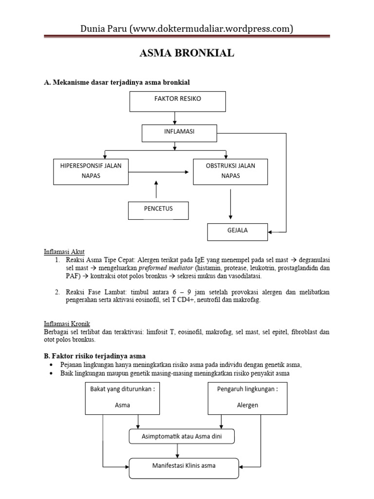 Asma Bronkial | PDF