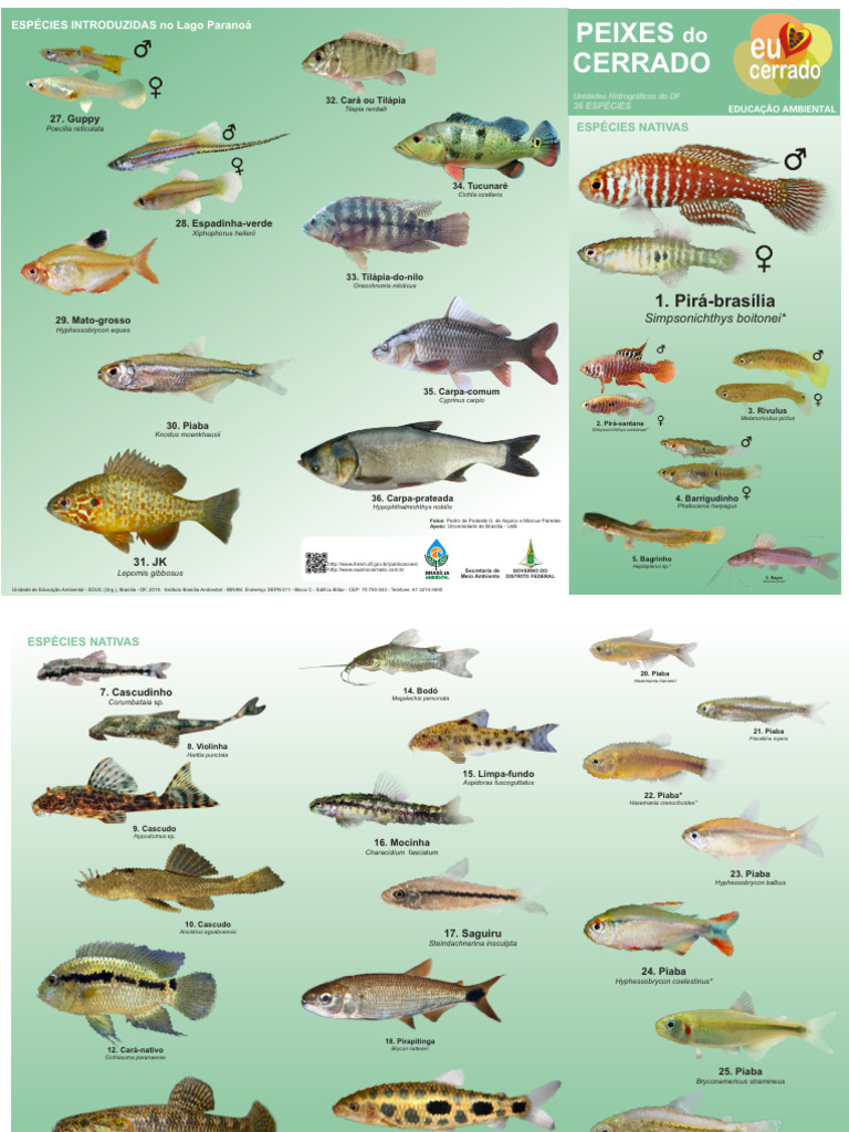 Peixes | PDF