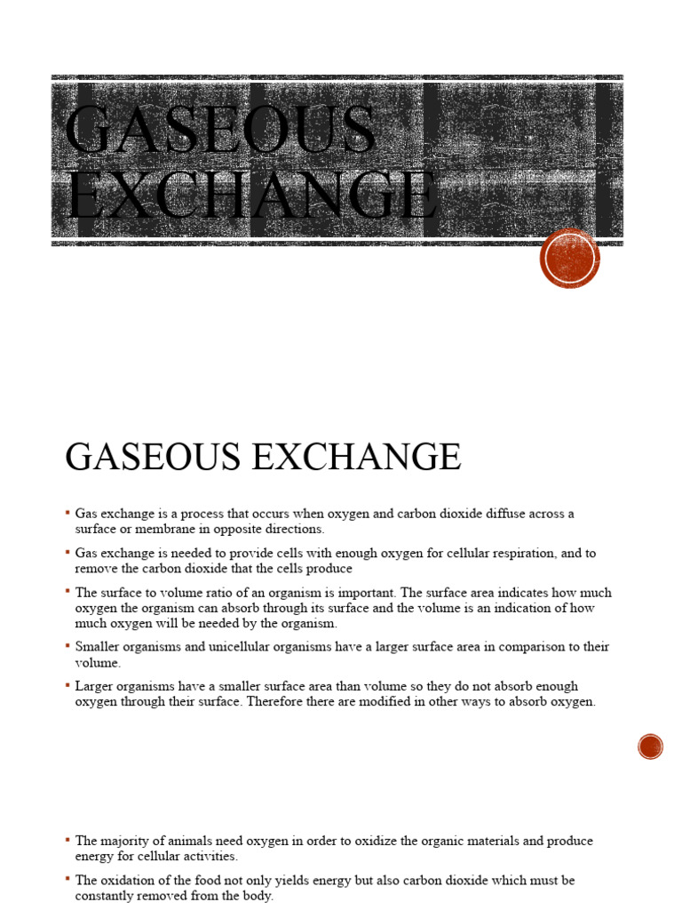 Gaseous Exchange | PDF | Diffusion | Respiratory System