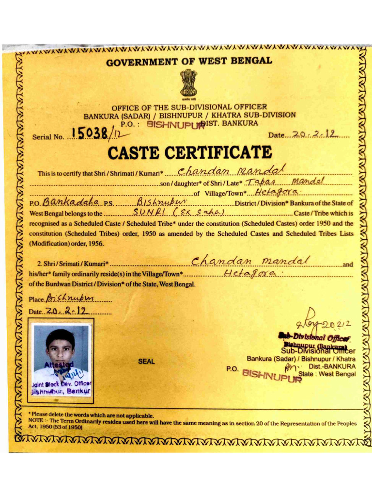 CAST CERTIFICATE, Chandan Mandal | PDF