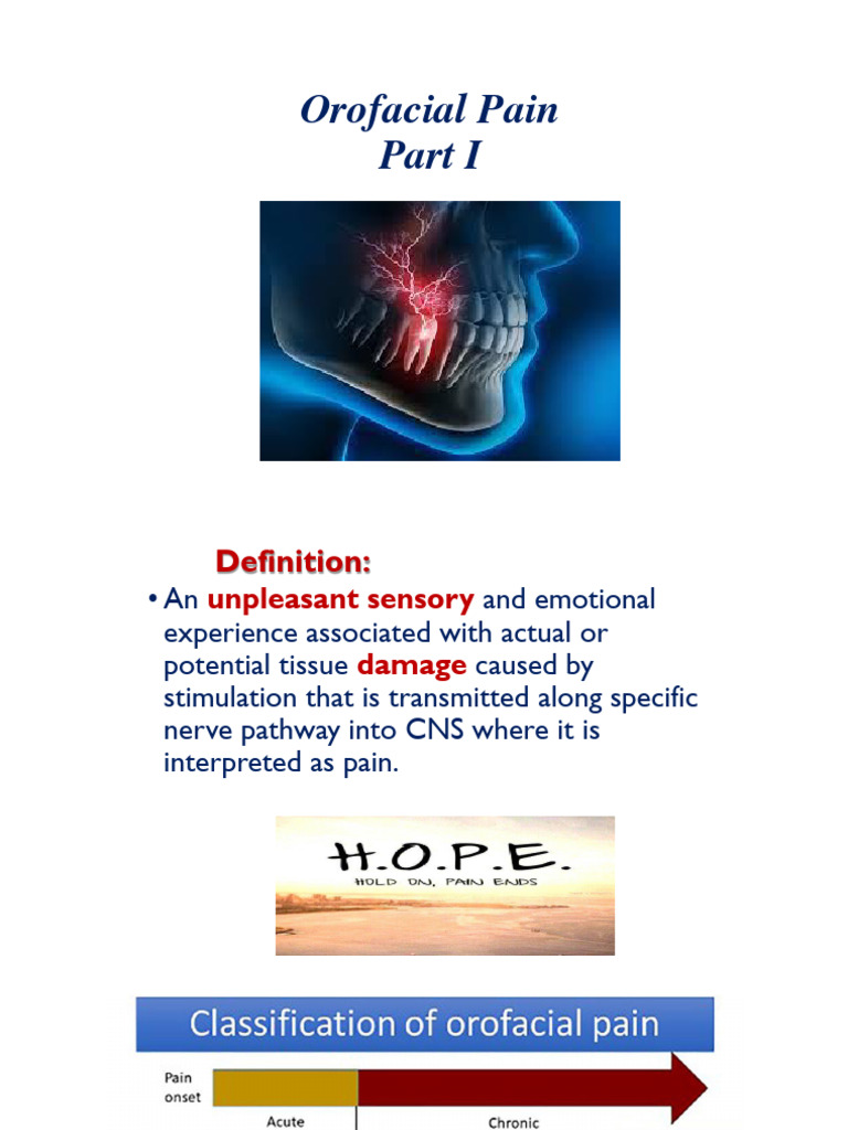 Orofacial Pain Part I | PDF