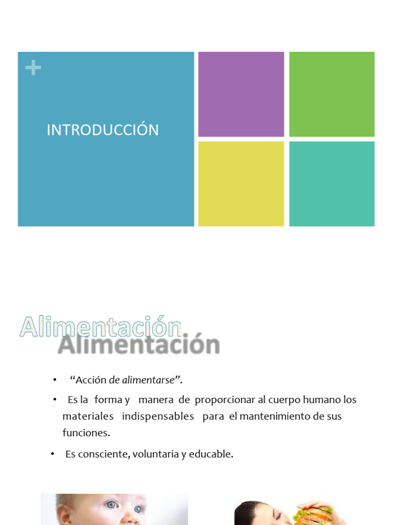 Nutrición y Alimentación: Conceptos Clave | PDF | Nutrición | Dieta y ...