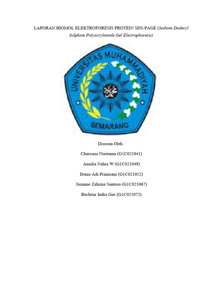 Laporan SDS-PAGE | PDF