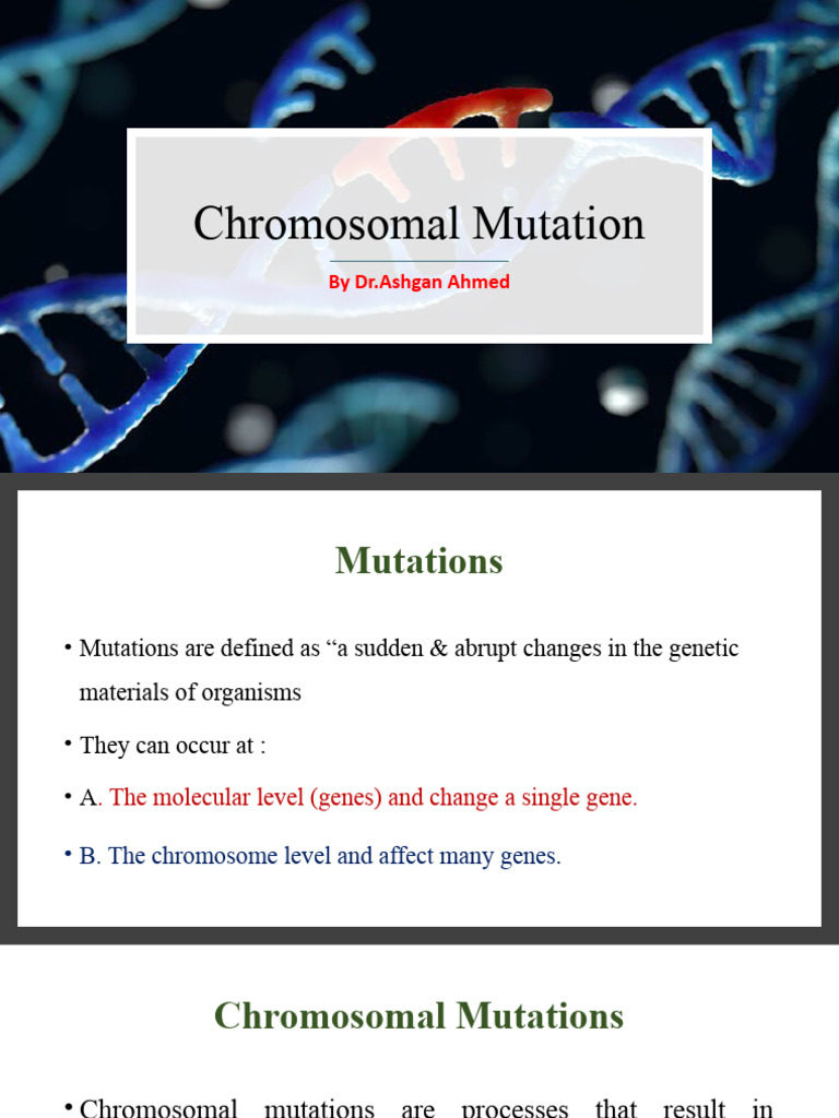 Chapter 3.3 Chromosomal Mutation | PDF | Ploidy | Genetics