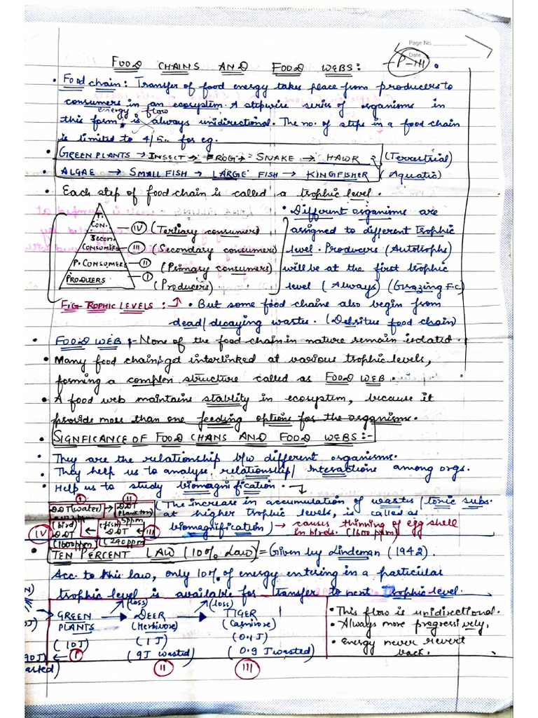 our environment | PDF