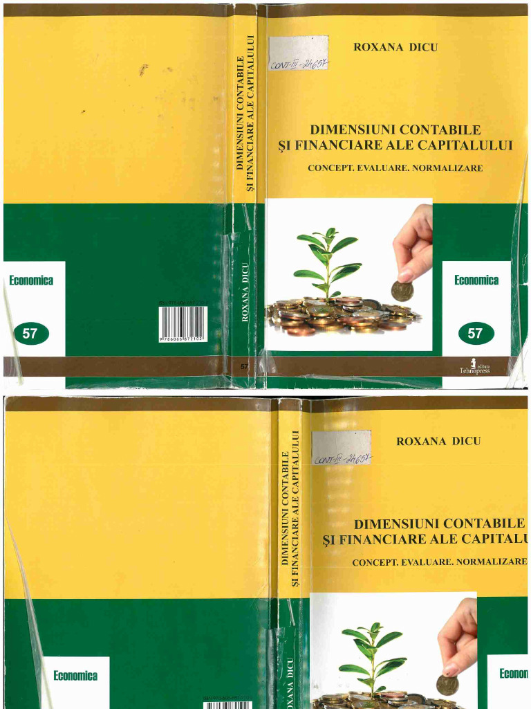 Roxana Dicu - Dimensiuni Contabile | PDF