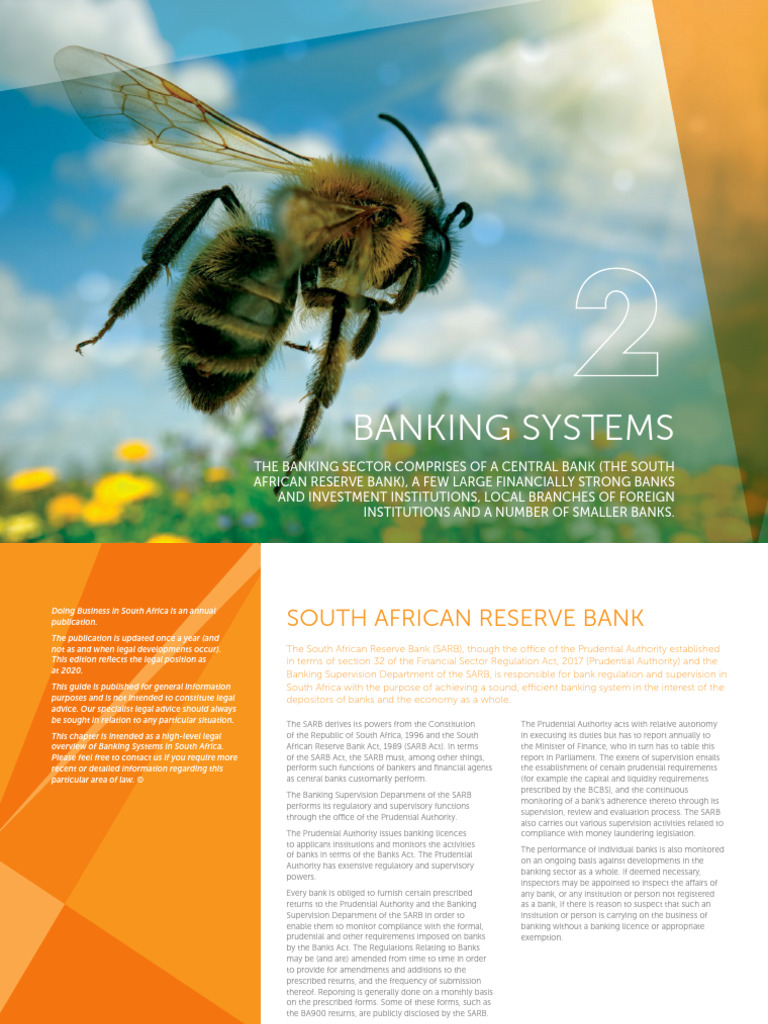 CHAPTER 2 DBSA 2020 Banking Systems | PDF