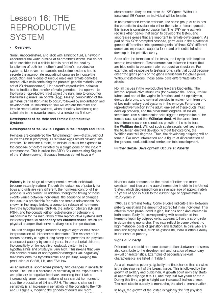 Reproductive System Notes | PDF